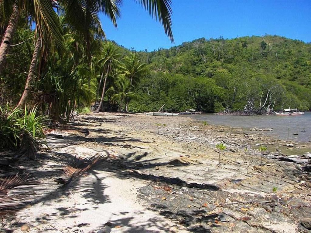 Buayan Island with long seafront cove - E-Estate Realty Services